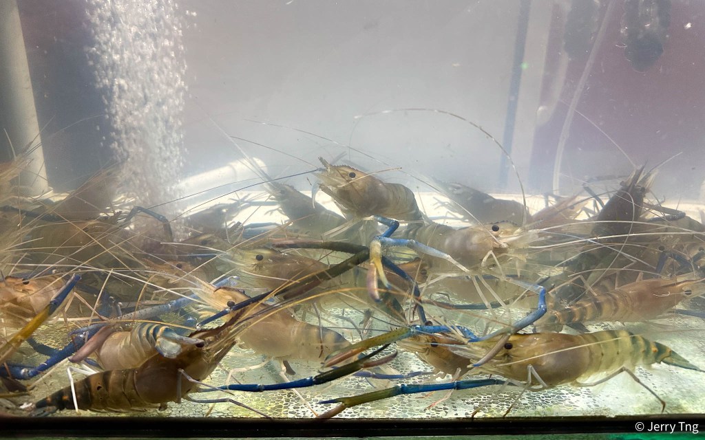 Dragon Seafood 李海泉 @ Bangkok – live2makan