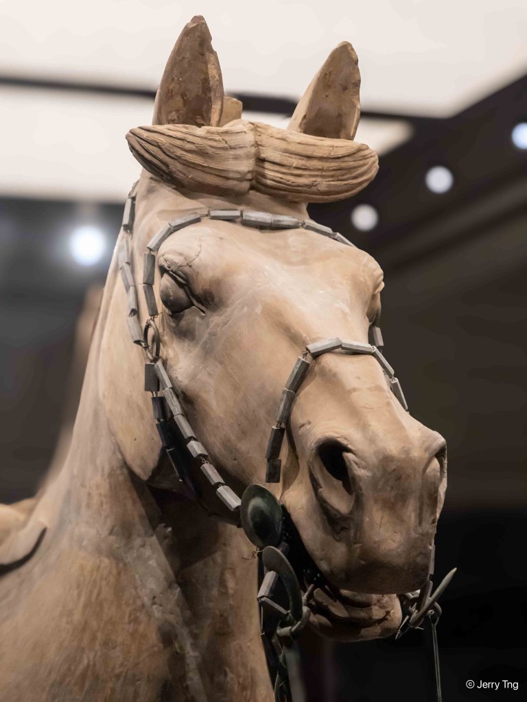 Treasures – Terracotta Cavalryman and Saddled Horse (Qin Dynasty ...