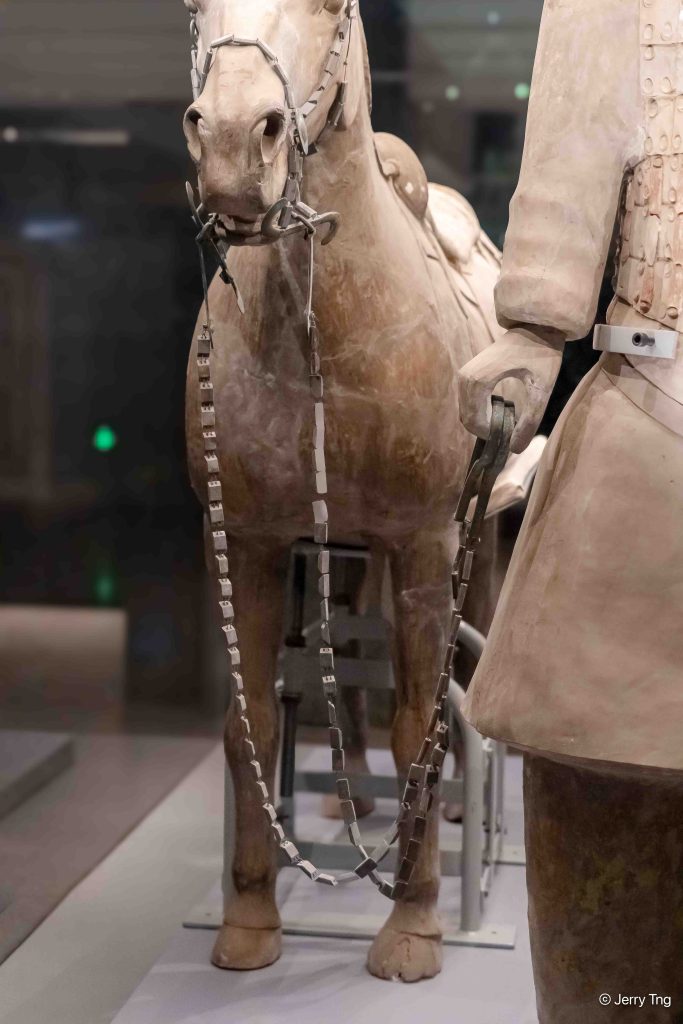 Treasures – Terracotta Cavalryman and Saddled Horse (Qin Dynasty ...